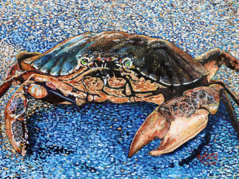 Getaway Crab. Catching Crabs at the Sandwich, MA Cape Cod boardwalk ...